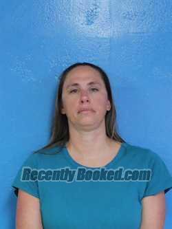 LISA DENISE ATKINSON Arrest Record & Booking Info – Sullivan County ...