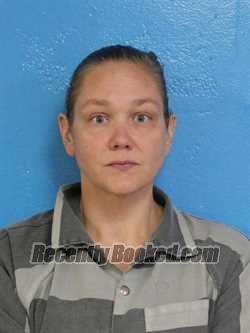 Recent Booking / Mugshot for HEATHER-MARIE DOUW BAUMGARDNER in Sullivan ...