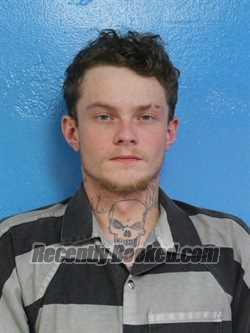 Recent Booking / Mugshot for WILLIAM STEPHENSON RASNICK in Sullivan ...