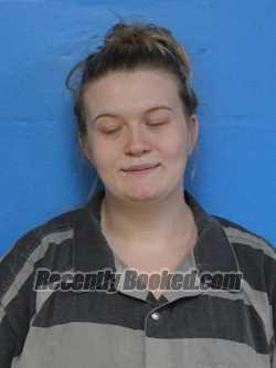 Recent Booking / Mugshot for EMILY DESIREE BOOHER in Sullivan County ...