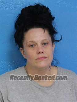 Recent Booking / Mugshot for JODI LOUISE LEWIS in Sullivan County ...