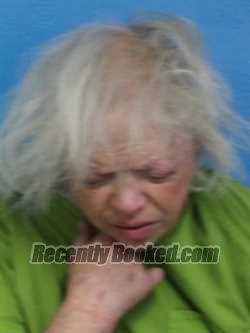 Recent Booking / Mugshot for WILLOW OLIVIA NIELSON in Sullivan County ...