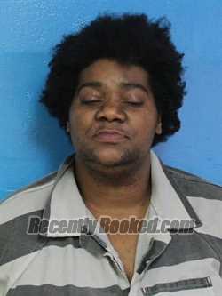 Recent Booking / Mugshot for DANIELLE TARA COFIELD JOHNSON in Sullivan ...