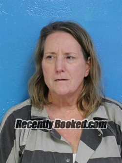 Recent Booking / Mugshot for TRACEY ANNE HAMPTON in Sullivan County ...