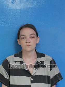 Recent Booking / Mugshot for LACY NICOLE MORELOCK in Sullivan County ...