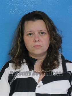 Recent Booking / Mugshot for SHAINA RENEE DALLACHIESA in Sullivan ...