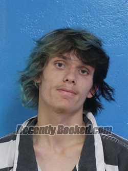 Skyler Anthony Ray Michael Cook Mugshot & Arrest Info | Sullivan County, TN