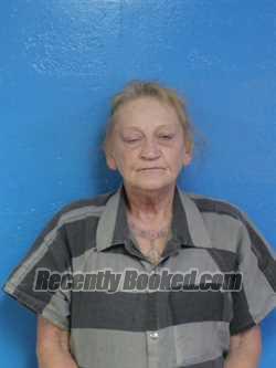 Recent Booking / Mugshot for DEBRA LEE JOHNSON PRESLEY in Sullivan ...