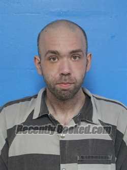 Recent Booking / Mugshot for DAVID LEE FREEMAN in Sullivan County ...