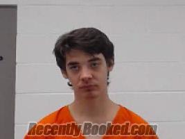Recent Booking / Mugshot for ALEXANDER MICHAEL SANDERS in Wayne County ...