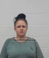 Recent Booking / Mugshot for AMANDA KAYE PARROTT in Wayne County, Tennessee