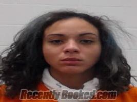 Recent Booking / Mugshot for MISHAYLA FAYE SCHMITZ in Wayne County ...
