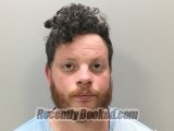 Recent Booking / Mugshot for NICKOLAS R HOFFMAN in Wilson County, Tennessee