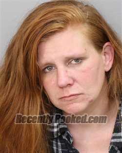 Recent Booking / Mugshot for CYNDI ONEIL COLLETT in Virginia Beach ...
