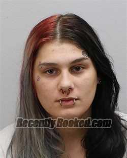 Recent Booking / Mugshot for ERICA MARIE HEART BYERS in Virginia Beach ...