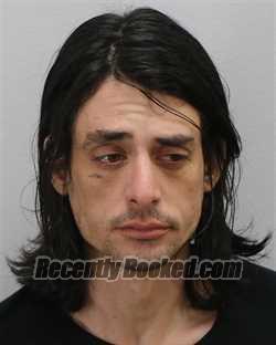 Recent Booking / Mugshot for TYLER DAVID NELSON in Virginia Beach ...