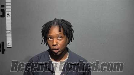 Recent Booking / Mugshot for ERICA JONES HARRELL in Suffolk County ...