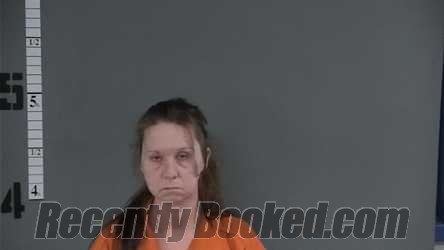 Recent Booking / Mugshot for STACEY STOREY in Suffolk County, Virginia