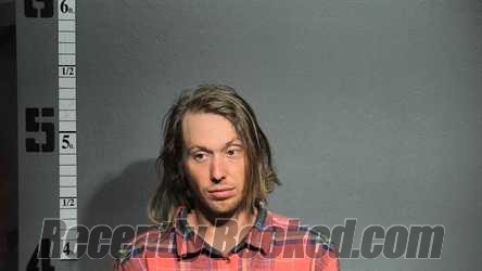 William Wray Michie Mugshot & Arrest Info | Suffolk County, VA