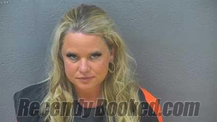 AMY LYNN CHILDRESS Arrest Record & Booking Info – Lynchburg County ...