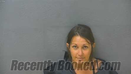 Recent Booking / Mugshot for ANNE L DORMAN in Lynchburg County, Virginia