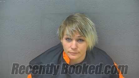 Recent Booking / Mugshot for AMANDA RAE HARBIN in Lynchburg County ...