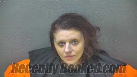 Recent Booking / Mugshot for AARON MICHELLE SAYERS in Lynchburg County ...