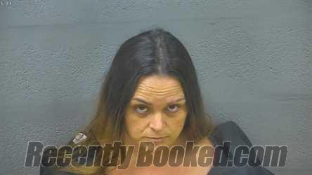 Recent Booking / Mugshot for BRANDY NICOLE HENDRICKS in Lynchburg ...