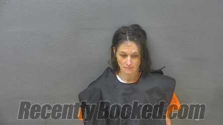 Recent Booking / Mugshot for DIANE NICOLE LOTT in Lynchburg County ...