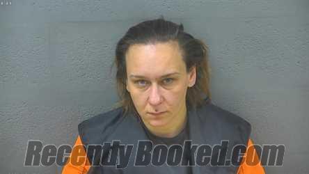 Recent Booking / Mugshot for JULIA VALERA DICKENSON in Lynchburg County ...