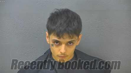 Recent Booking / Mugshot for JOSEPH BRIAN WORKMAN in Lynchburg County ...