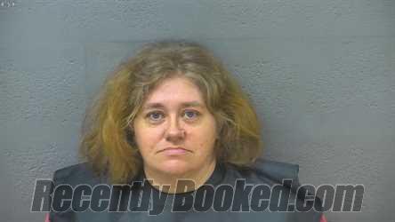 Recent Booking / Mugshot for JANIE MARIE WEBER in Lynchburg County ...