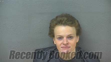 Recent Booking / Mugshot for RAVEN NICOLE ADKINS in Lynchburg County ...