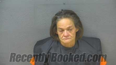 Recent Booking / Mugshot for ROBIN LYNN DAVIS in Lynchburg County, Virginia