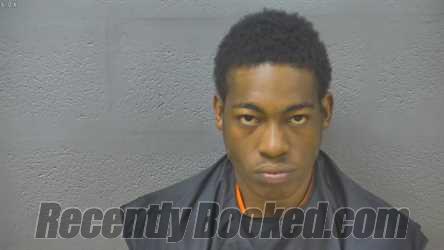 Recent Booking / Mugshot for RONALD LEON FITCH in Lynchburg County ...