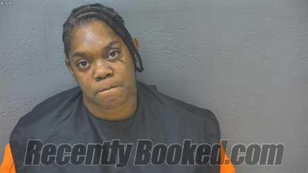 Recent Booking / Mugshot for RUSTINA HELEN LEWIS in Lynchburg County ...
