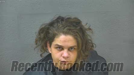 Recent Booking / Mugshot for SAMANTHA BREANNE MARTIN in Lynchburg ...