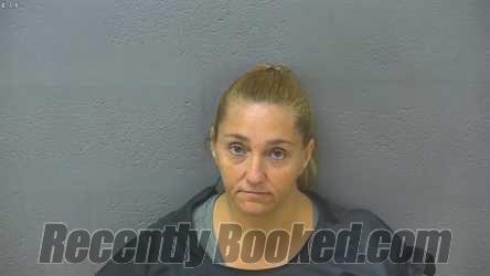 Recent Booking / Mugshot for TINA MARIE STANTON in Lynchburg County ...
