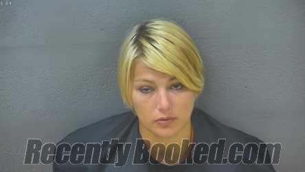 Recent Booking / Mugshot for VICTORIA LYN PERKINS in Lynchburg County ...
