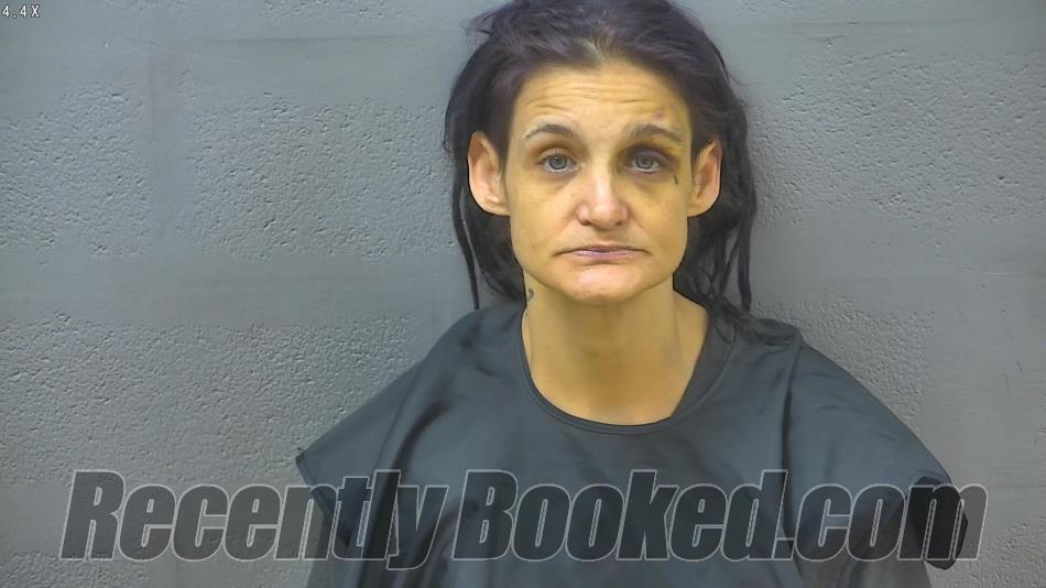 Recent Booking / Mugshot for YVETTE MARIE BRYANT in Lynchburg County ...
