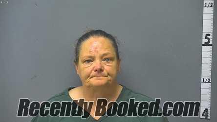 Recent Booking / Mugshot for SHERRY ELIZABETH WOLFE in Harrisonburg ...