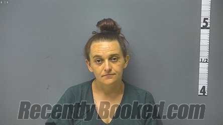 Recent Booking / Mugshot for ANGEL MARIE HOWDYSHELL in Staunton County ...