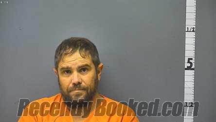 Recent Booking / Mugshot for ANDREW MICAH HAMILTON in Staunton County ...