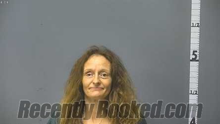 Recent Booking / Mugshot for JESSICA MASSIE SMALL in Staunton County ...