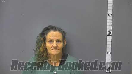Recent Booking / Mugshot for RACHEL LYNN BRYSON in Staunton County ...