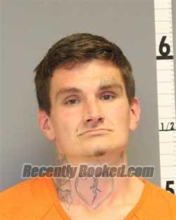 Recent Booking / Mugshot for GARY STELLY in Waynesboro County, Virginia