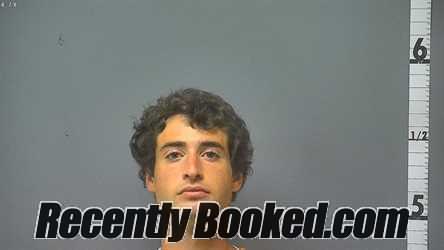 Recent Booking / Mugshot for BRANDON MICHAEL LOUCKS in Waynesboro ...