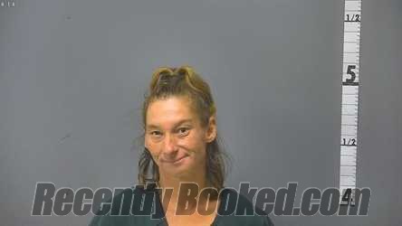 Recent Booking / Mugshot for CHRISTI MARIE DEWHIRST in Waynesboro County, Virginia