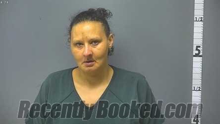 Recent Booking / Mugshot for CATHY LEA DAVIS in Waynesboro County, Virginia