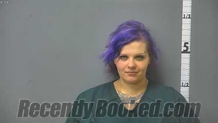 Recent Booking / Mugshot for HEATHER MARIE COFFEY in Waynesboro County ...